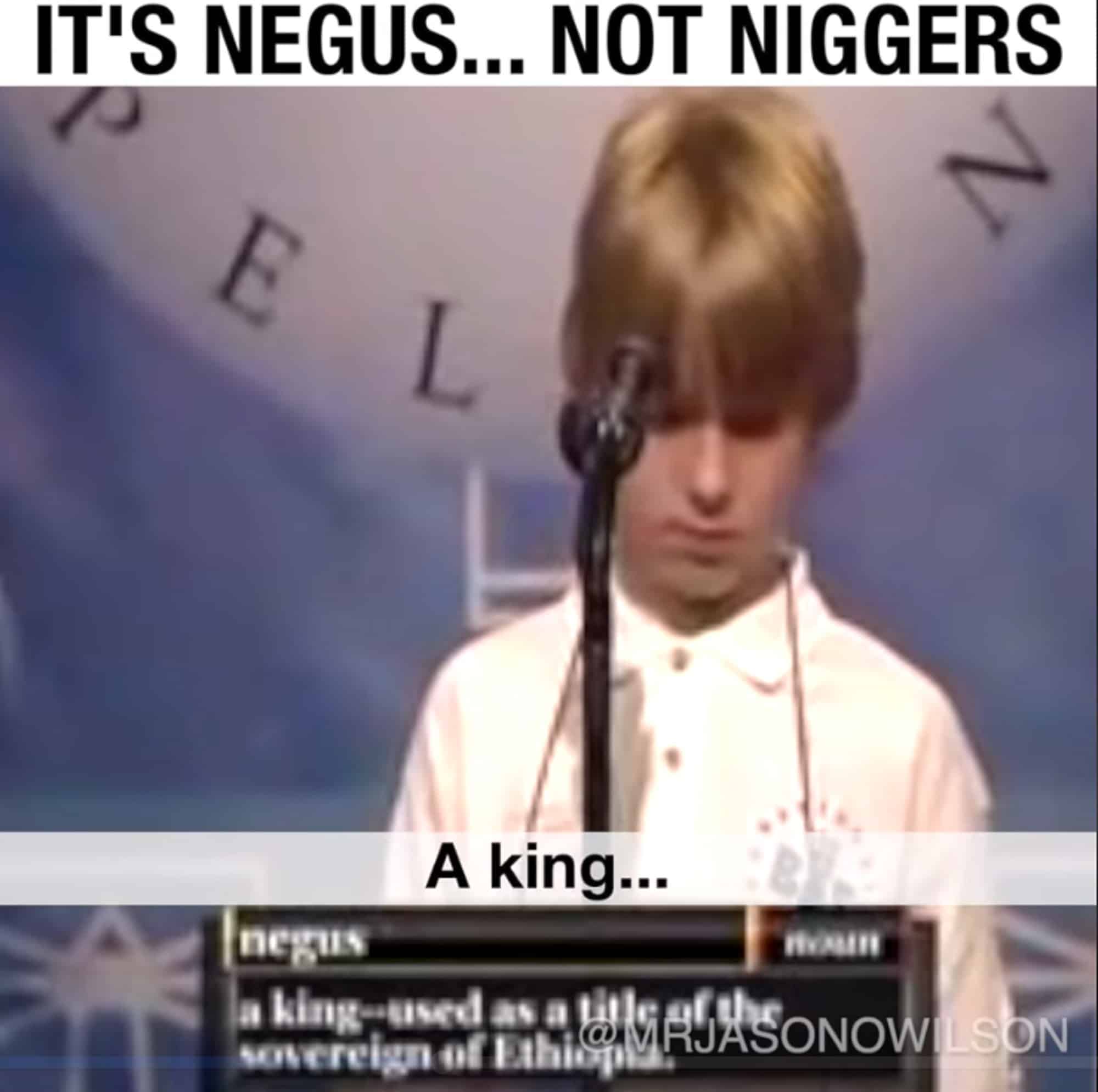 It’s Negus… Not Niggers – The Yunion, Inc